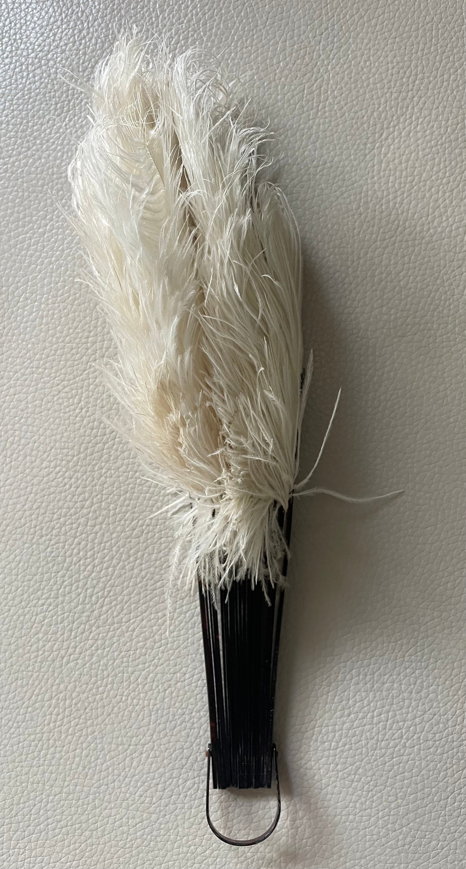 Antique 1920s Ostrich Feather Hand Fan, Tortoise Shell Ribs, 15 Span ...