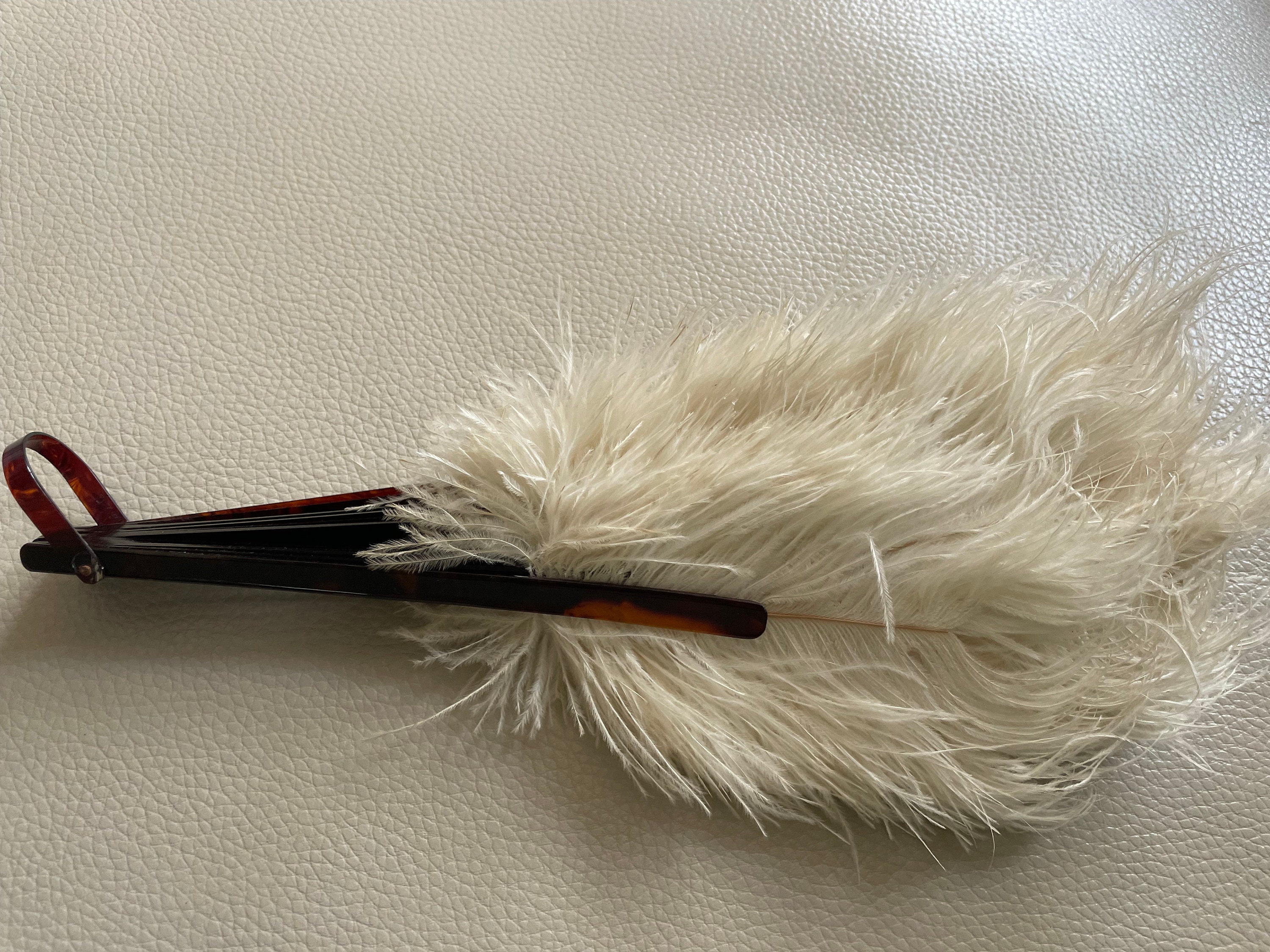 Antique 1920s Ostrich Feather Hand Fan, Tortoise Shell Ribs, 15 Span ...