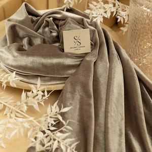Dark Taupe Stretch Velvet Fabric – Soft 4-way Velour With Neutral ...