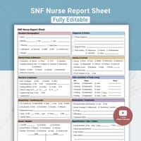 20 Patients/residents Nurse Report Sheet LTC/SNF/ICF - Etsy
