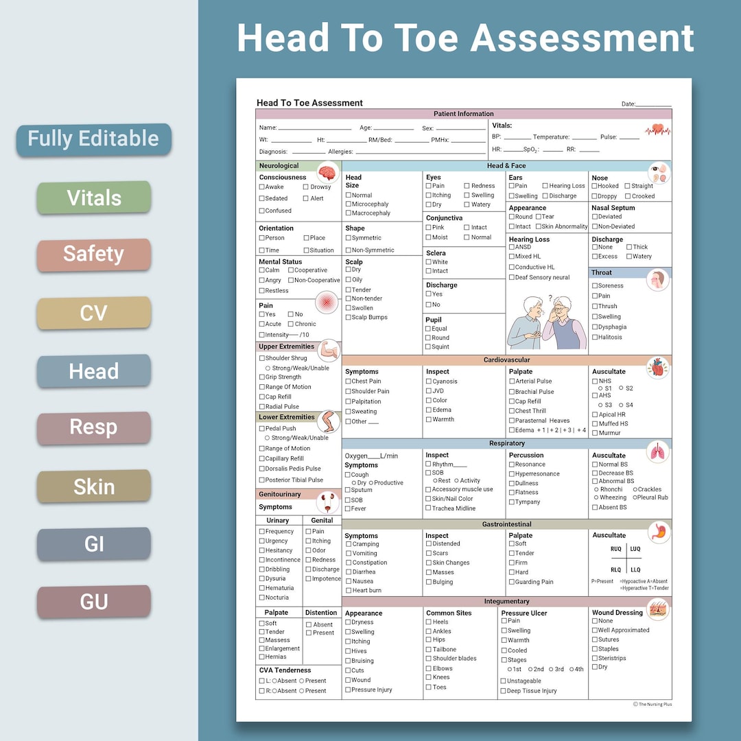 Editable Nurse Head to Toe Assessment Nursing Assessment Template ...