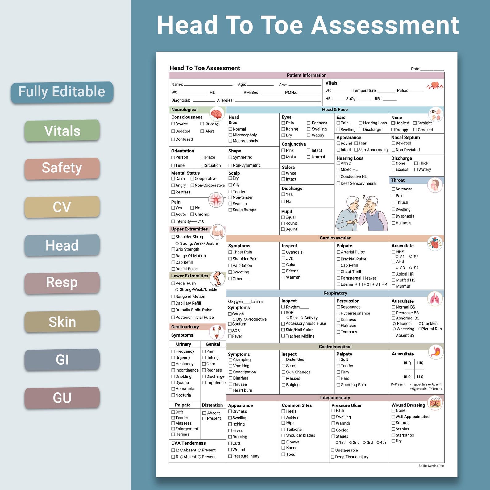 Editable Nurse Head to Toe Assessment Nursing Assessment Template ...