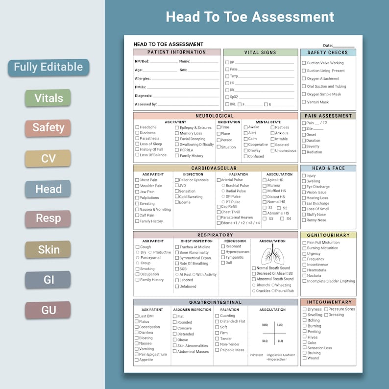 Editable Nursing Head to Toe Assessment Template Head to Toe Nursing Student Study Guide Nurse ...