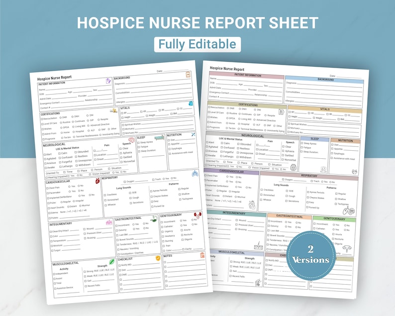 Editable Hospice Nurse Report Sheet for Hospice Visit Charting ...