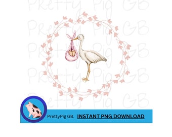 Boy Baby Stork, ,digital Download, PNG, Clip Art, 300 DPI - Etsy