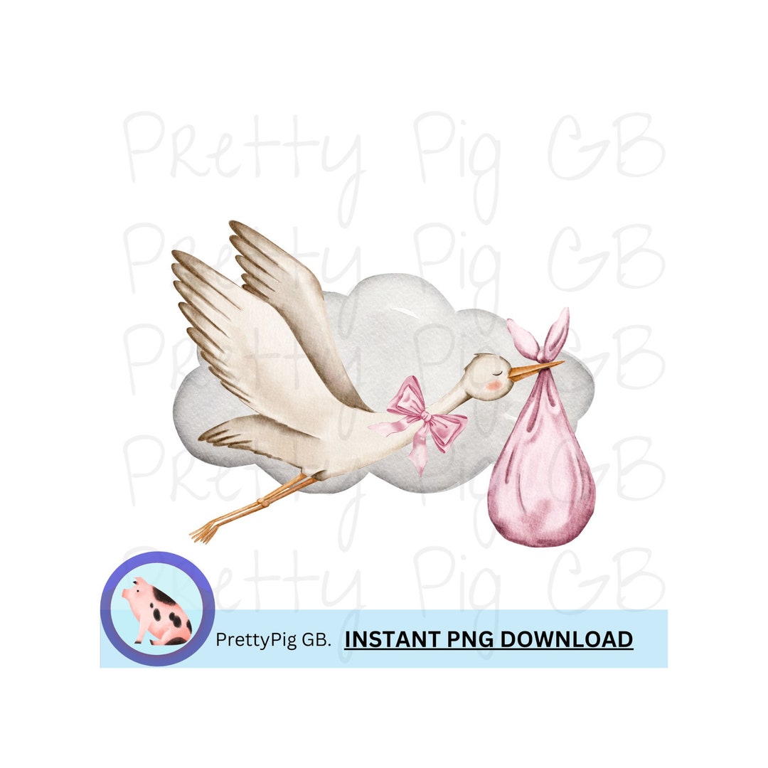 Baby Girl and Stork, PNG, Clip Art, Digital Download, 300 DPI ...