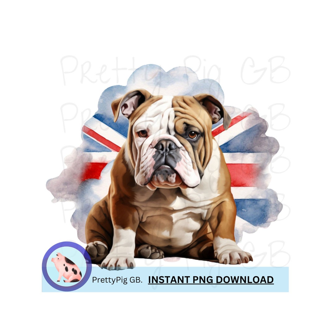 English Bulldog, PNG, Digital Download, 300 DPI, Clip Art, Commercial ...