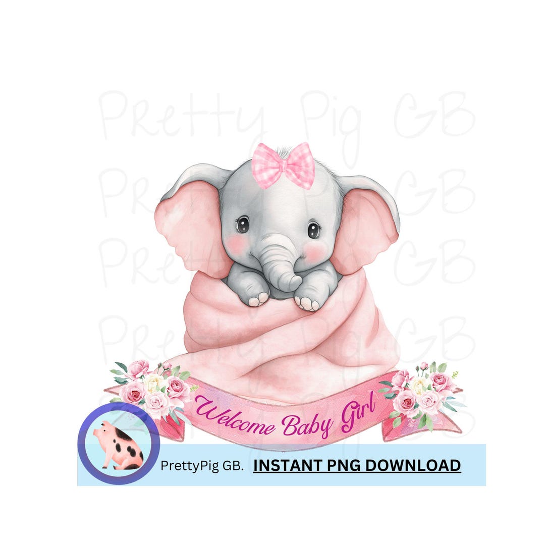 A New Baby Girl Elephant, PNG, Clip Art, Digital Download, 300 DPI - Etsy