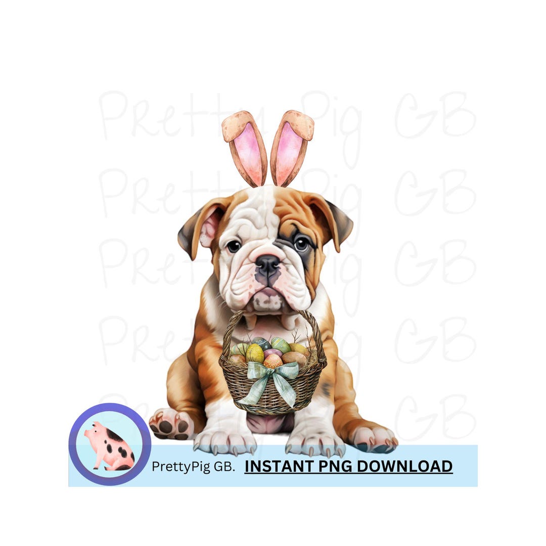 English Bulldog is Easter Bunny, PNG, Clip Art, Digital Download, 300 ...