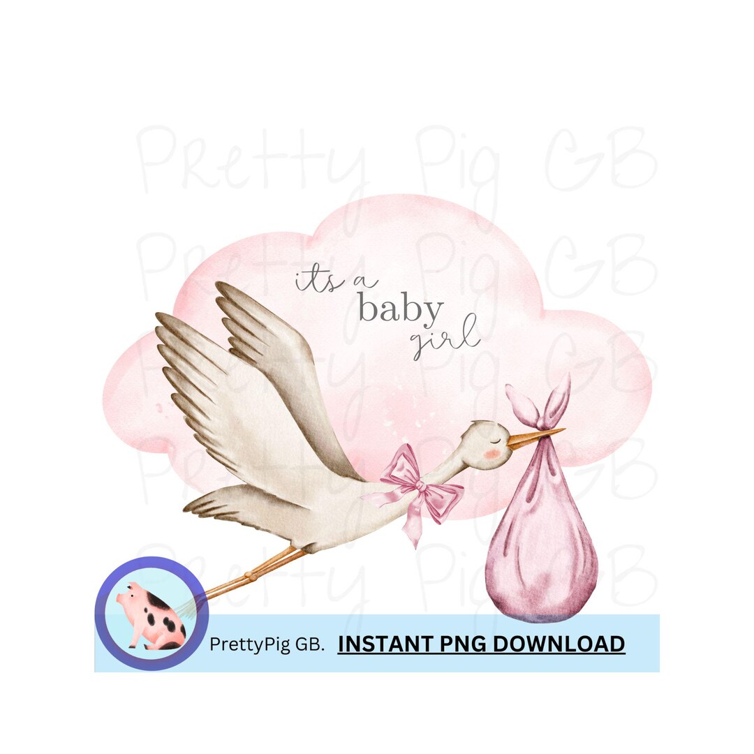 Storks Special Delivery of Baby Girl, PNG, Clip Art, Digital Download ...
