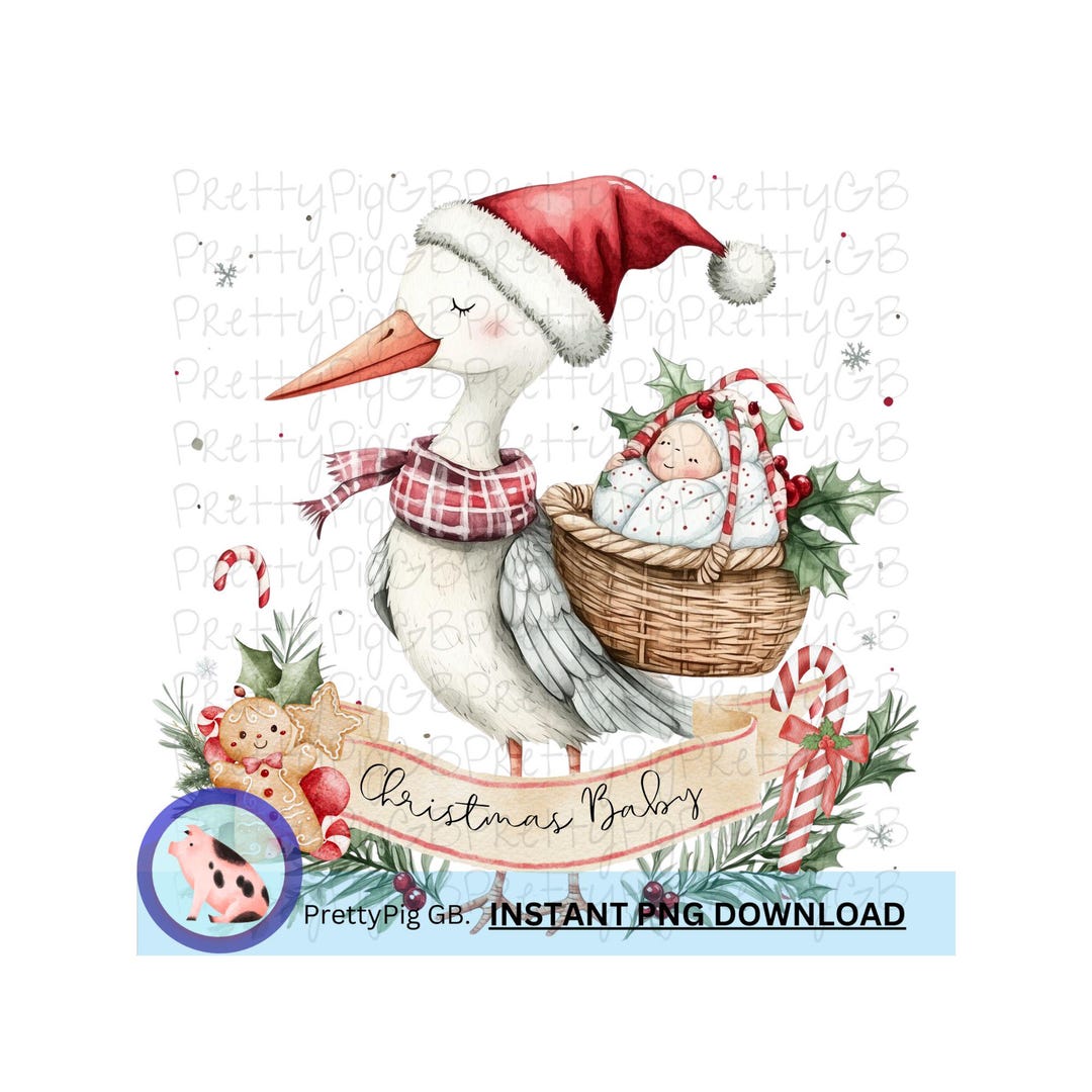 Stork Delivering Christmas Baby. PNG, Clipart, Digital Download, 300dpi ...