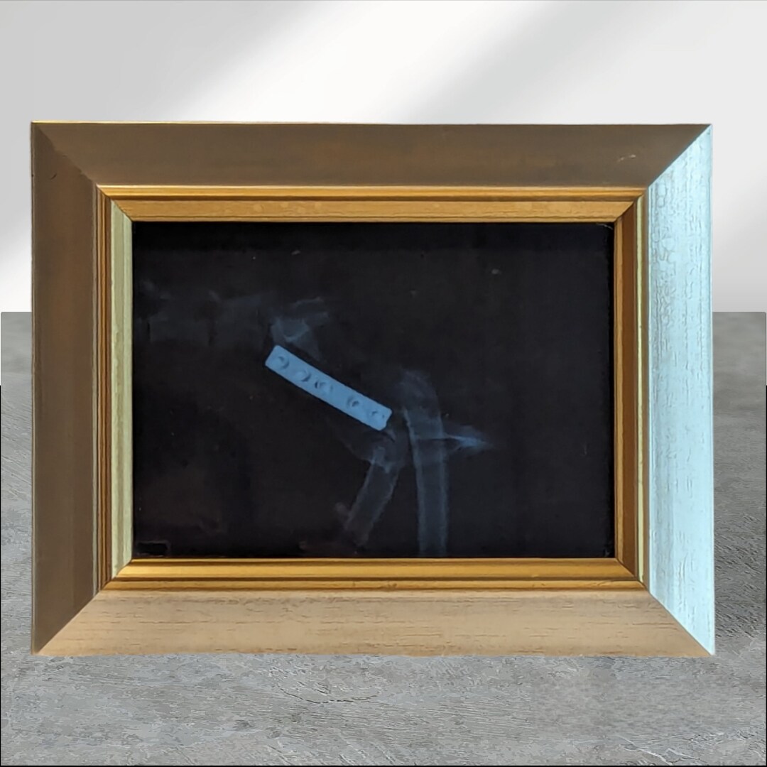 Dog X-ray Picture Frame Animal Art Weird Home Decor - Etsy
