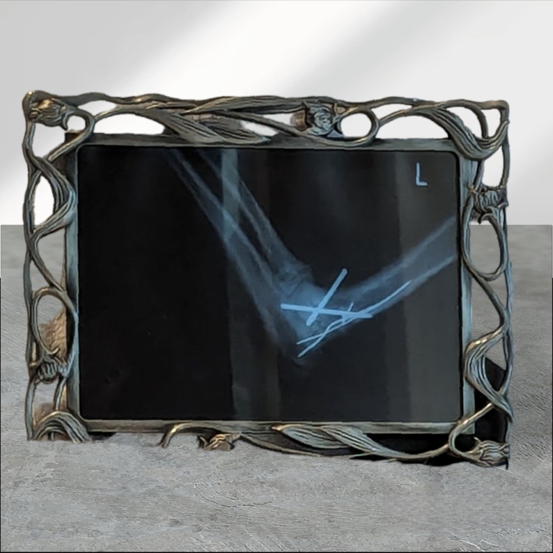 Cat Leg Left View X-ray Picture - Etsy