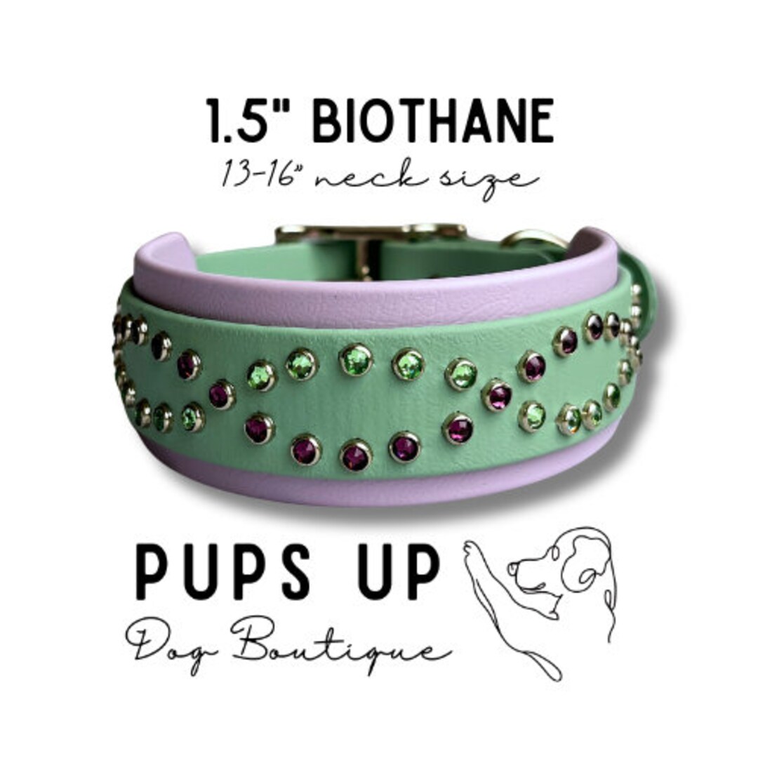 1 Inch Sage Biothane Dog Collar With 1.5 Inch Lavender Backing ...