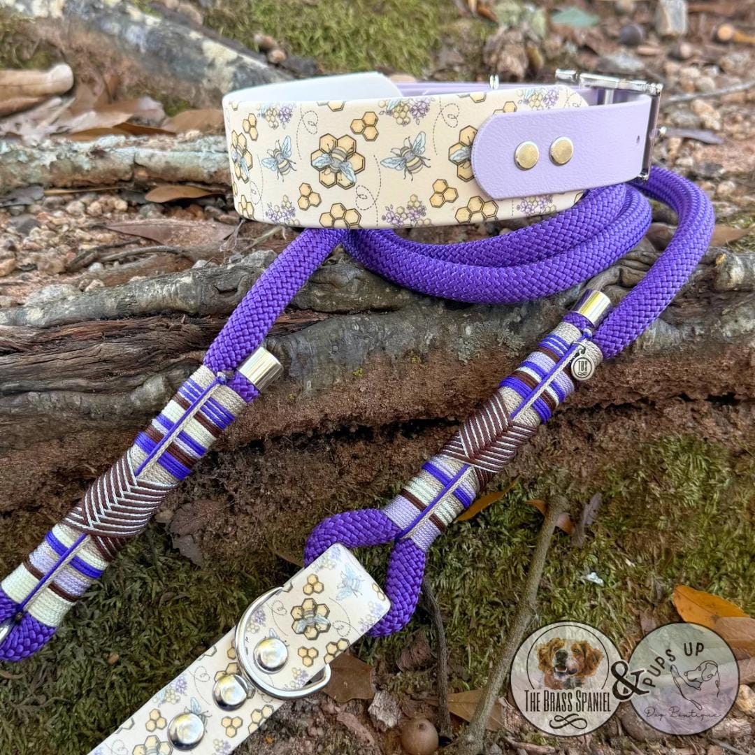 Honeybees 1.5" Biothane Collar W/ Matching Rope Leash - Etsy