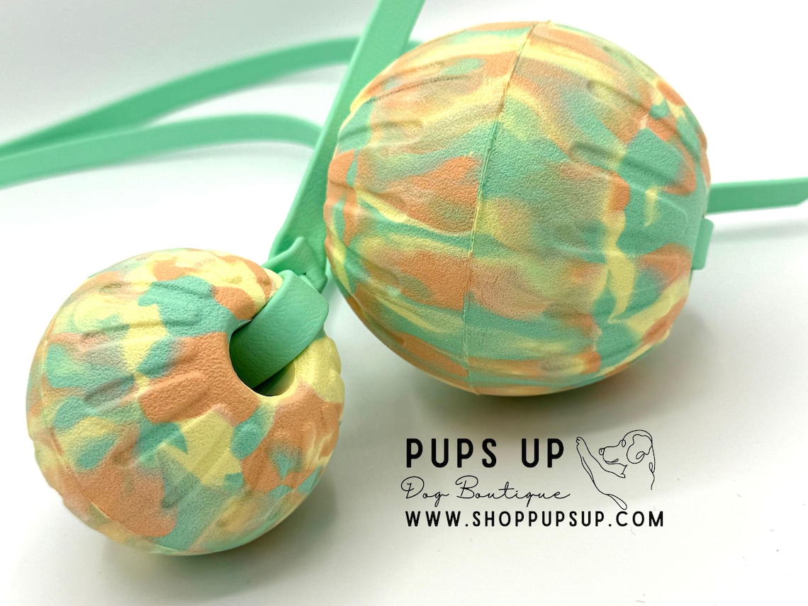 Sorbet Swirl EVA Foam Dog Ball Toy With Biothane Handle - Durable ...