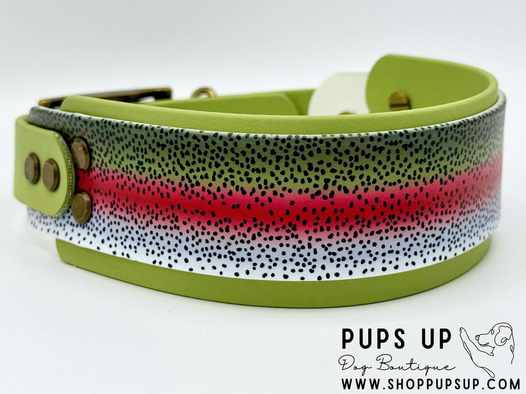 Trout UV Printed Biothane W/ Guacamole 2” Backlay and 1” Tapered Ends ...