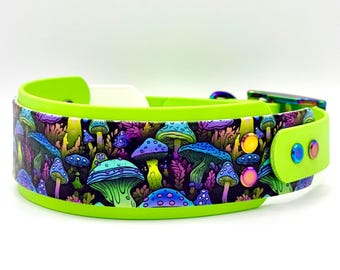 1.5" UV Print Tapered Biothane Buckle Collar - Etsy