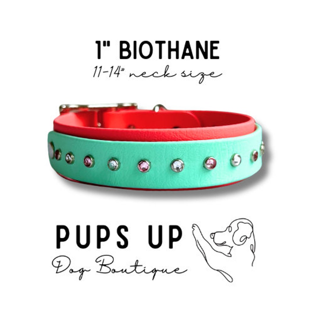 1 Inch Coral Biothane Dog Collar With 3/4 Inch Mint Overlay Featuring ...