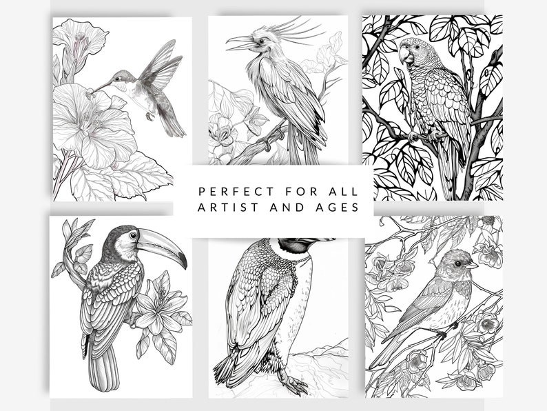 Bird Coloring Book | Grayscale Coloring Pages for Adults & Kids (PDF ...