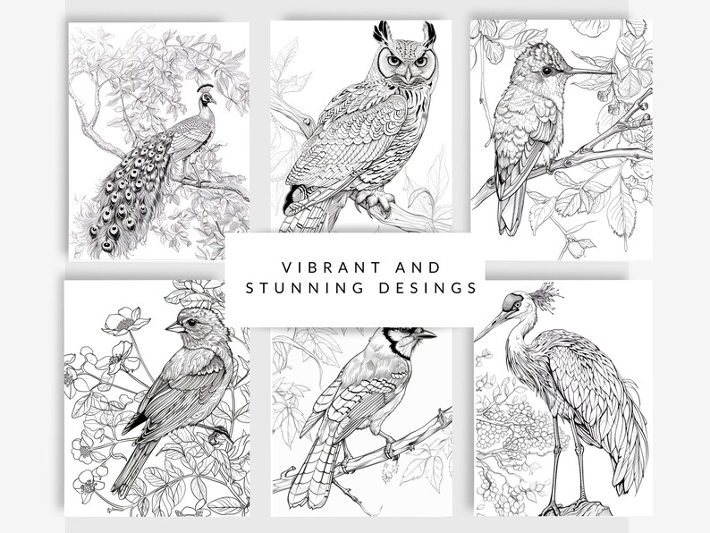 Bird Coloring Book | Grayscale Coloring Pages for Adults & Kids (PDF ...