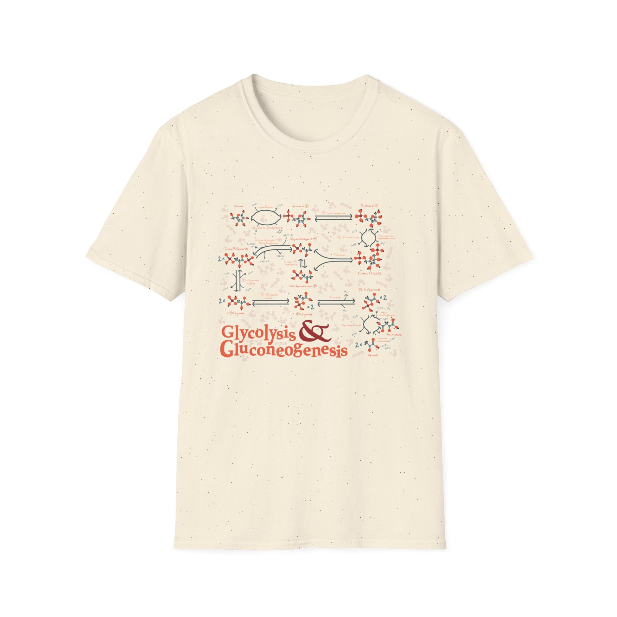 Glycolysis T-shirt, Glucose Metabolism, Biochemistry Student, Science ...