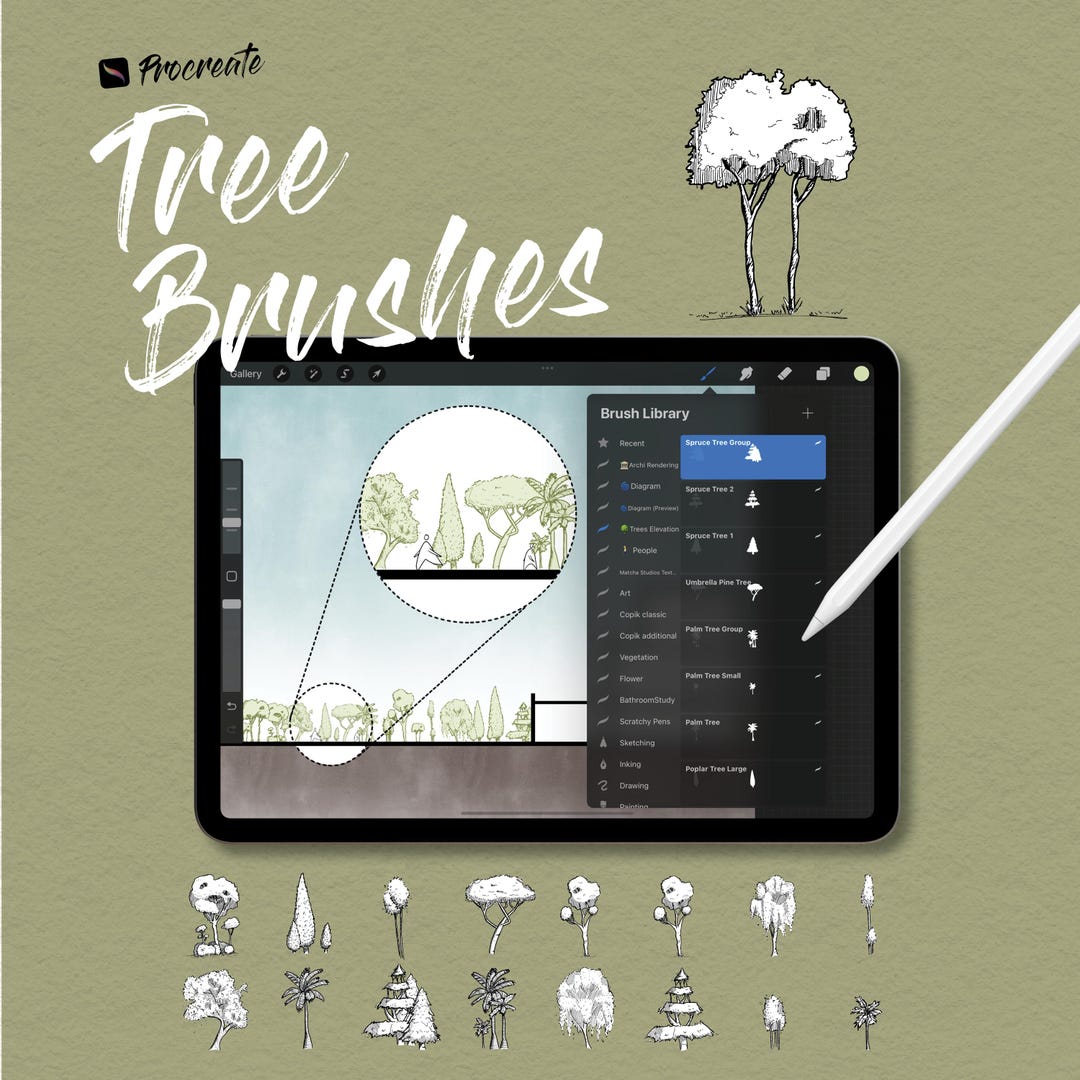 Architecture Tree Brush Stamps, Landscape Architecture, Procreate ...