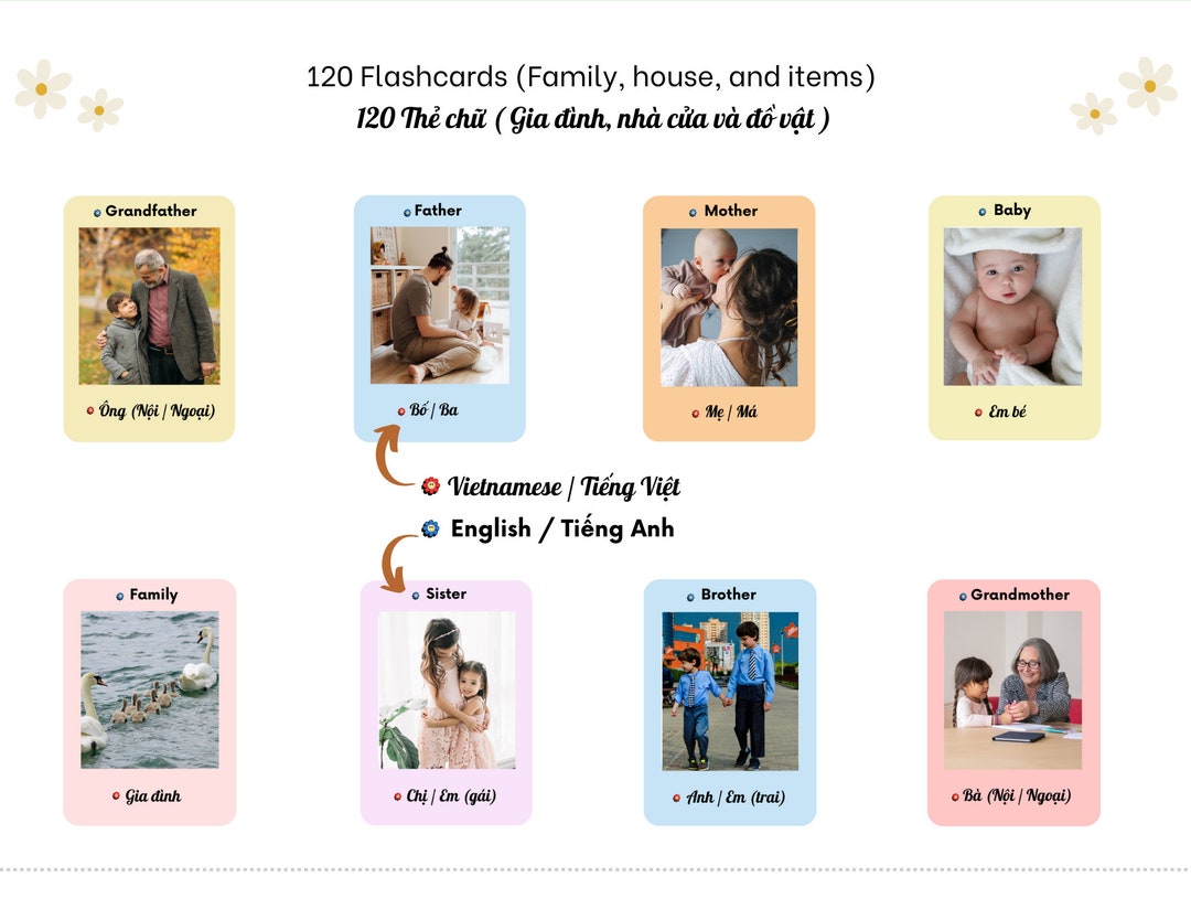 120 Vietnamese DIGITAL Flashcards(bonus 120 English+viet Flashcards ...