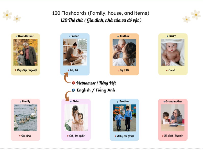 120 Vietnamese DIGITAL Flashcards(bonus 120 English+viet Flashcards ...