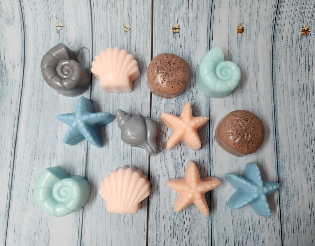 Seashell Soap Set Triple Butter Seashell Soap Ocean Theme Ocean Lover ...