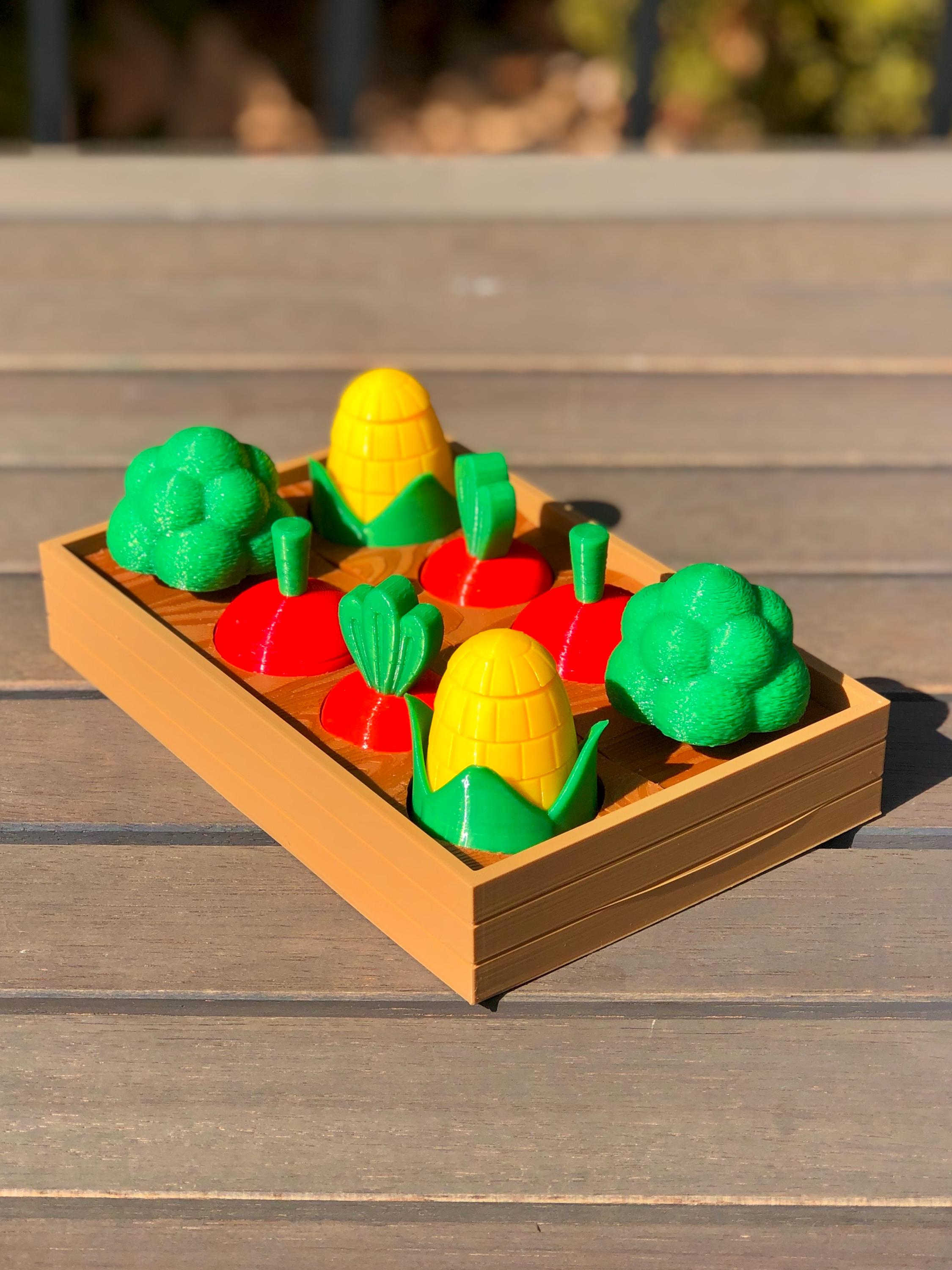 Vegetable Garden Fidget Toy Set, Personizable, Choice of 4,8 or 16 ...