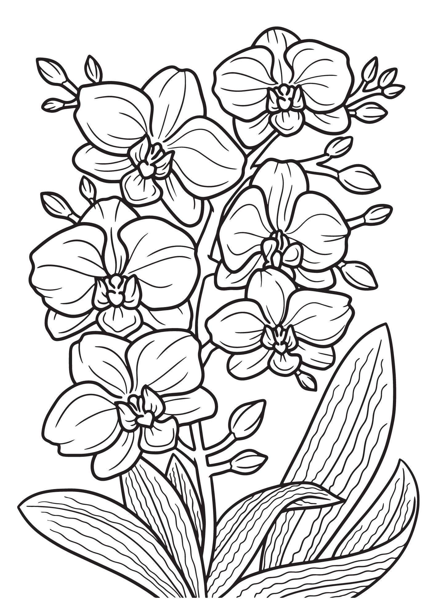Flowers Coloring Pages 40 Templates - Etsy