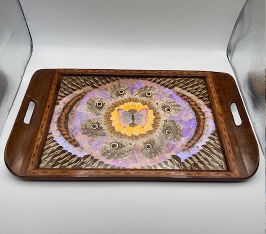 Vintage 1930's Butterfly Wing Art Deco Tray Brazilian Inlaid Wood and ...