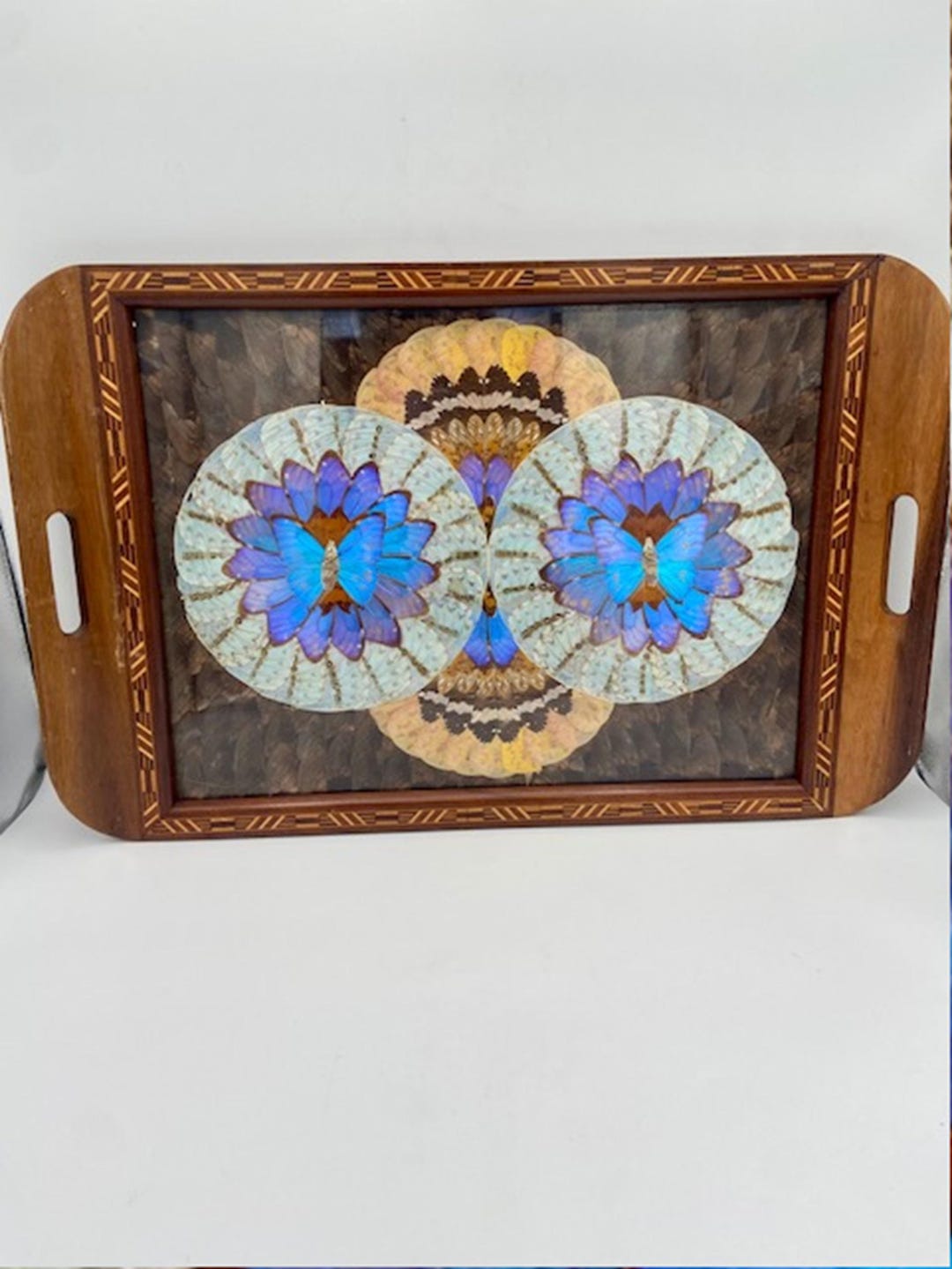 Vintage 1930's Butterfly Wing Art Deco Tray Brazilian Inlaid Wood and ...