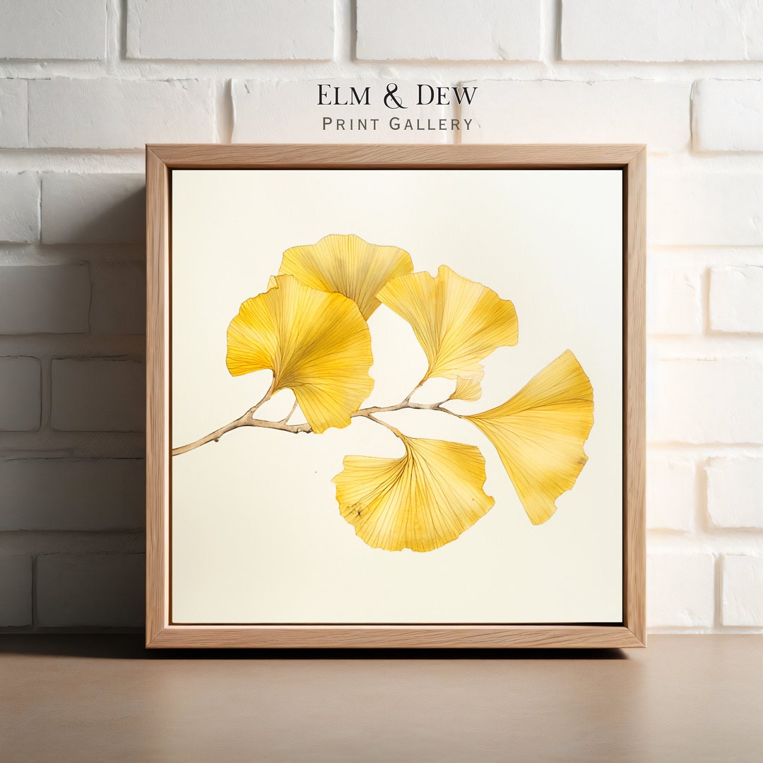 Printable Ginkgo Leaf Art, Botanical Illustration, Minimalist Decor ...