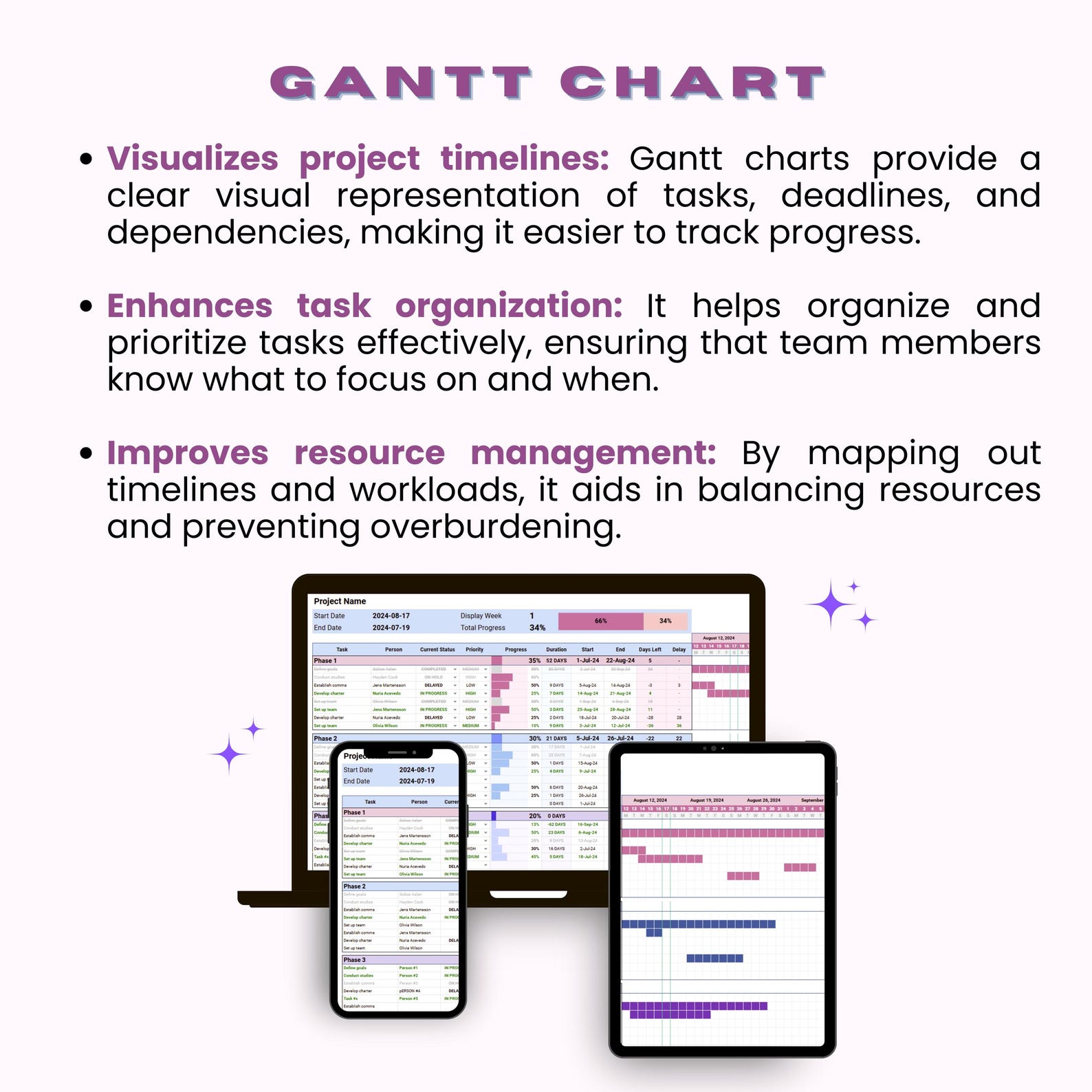 PLR Gantt Chart Spreadsheet Google Sheet Plr Template Plr Google Spreadsheets Master Resell ...