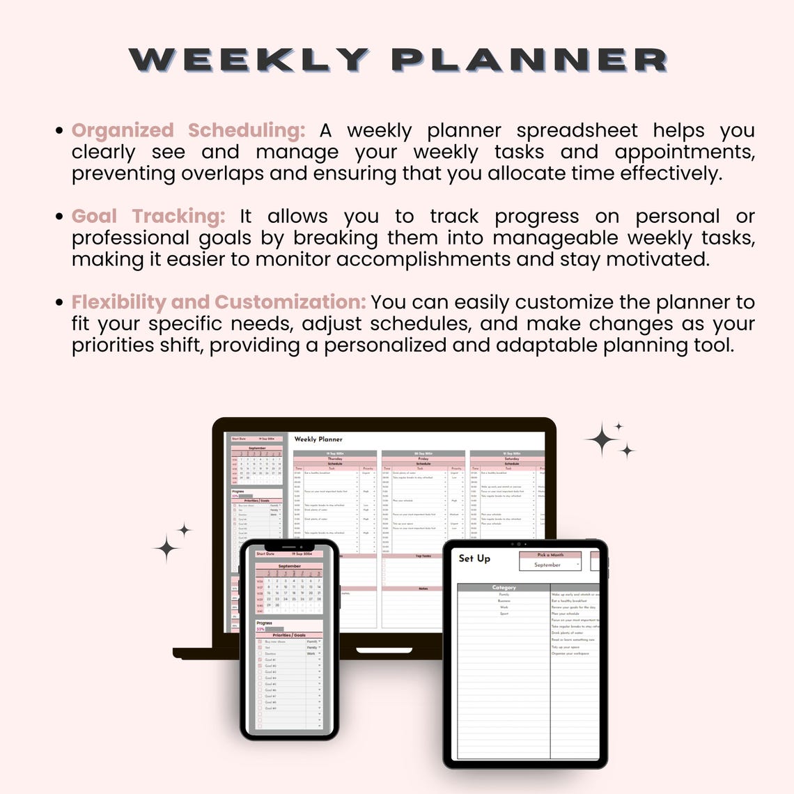 PLR Weekly Planner Spreadsheet Master Resell Rights Planner PLR Digital ...