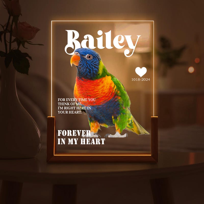 Bird Memorial - Etsy