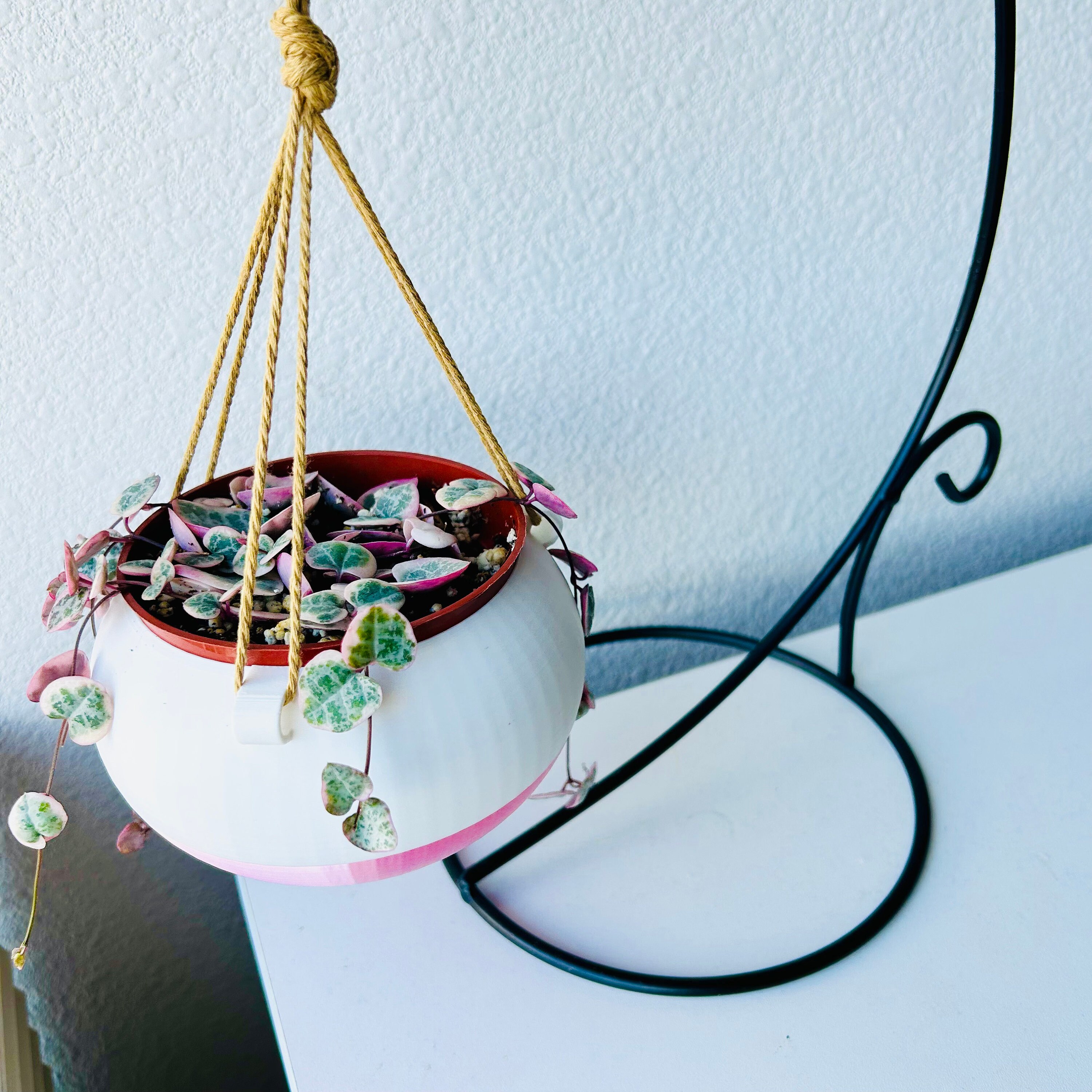 Cache Hanging Planter Pot 3D Print Cute Gift Decor Indoor Plants House ...