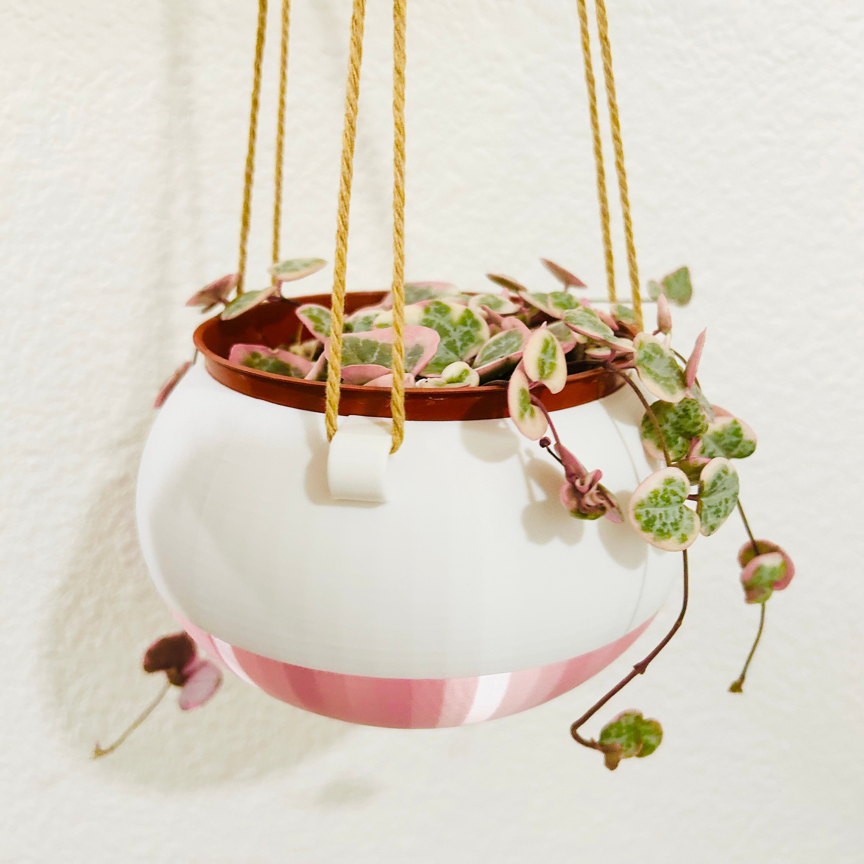 Cache Hanging Planter Pot 3D Print Cute Gift Decor Indoor Plants House ...