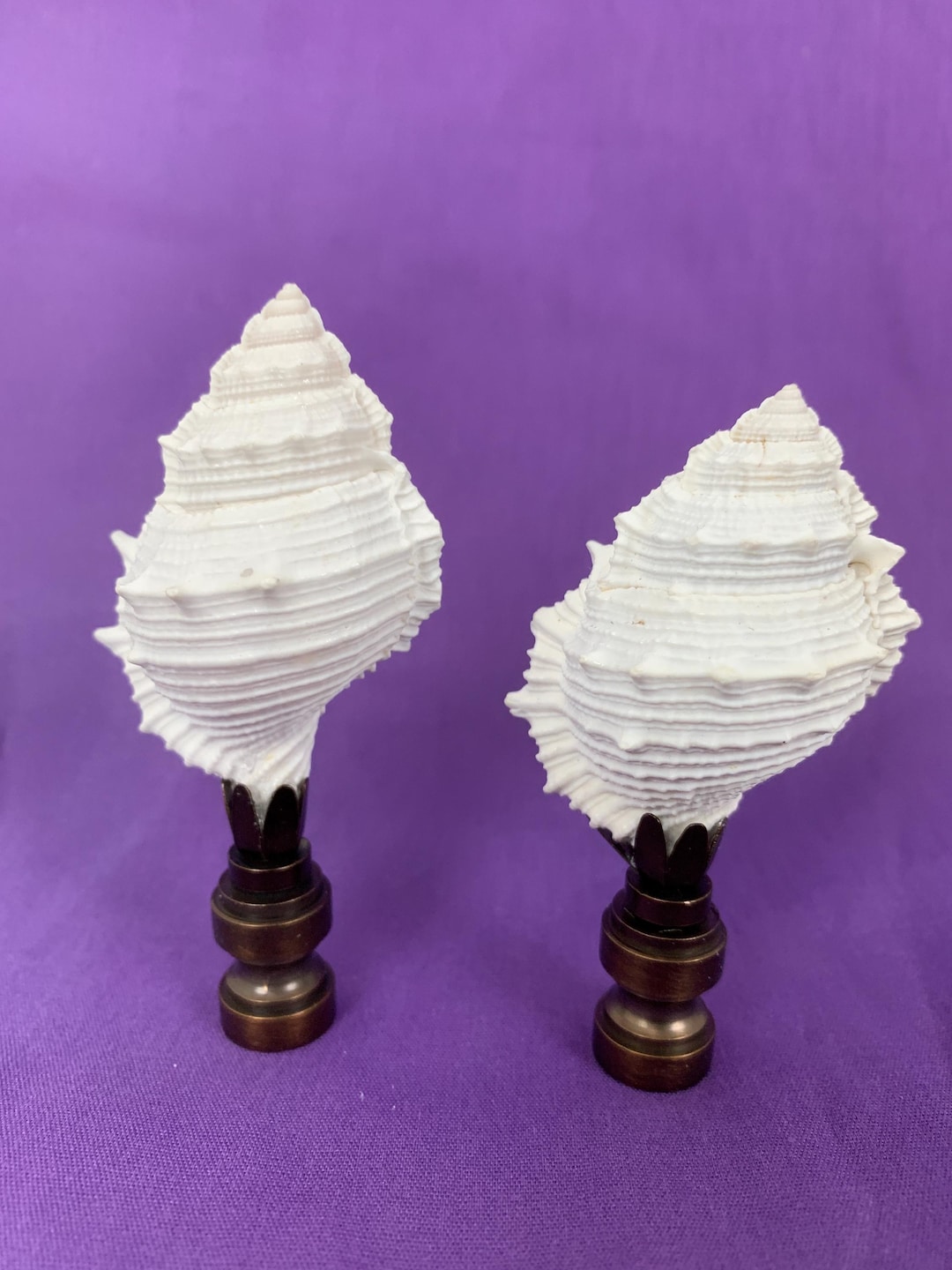 Pair of 3 X 2 Sea Shells Finials - Etsy