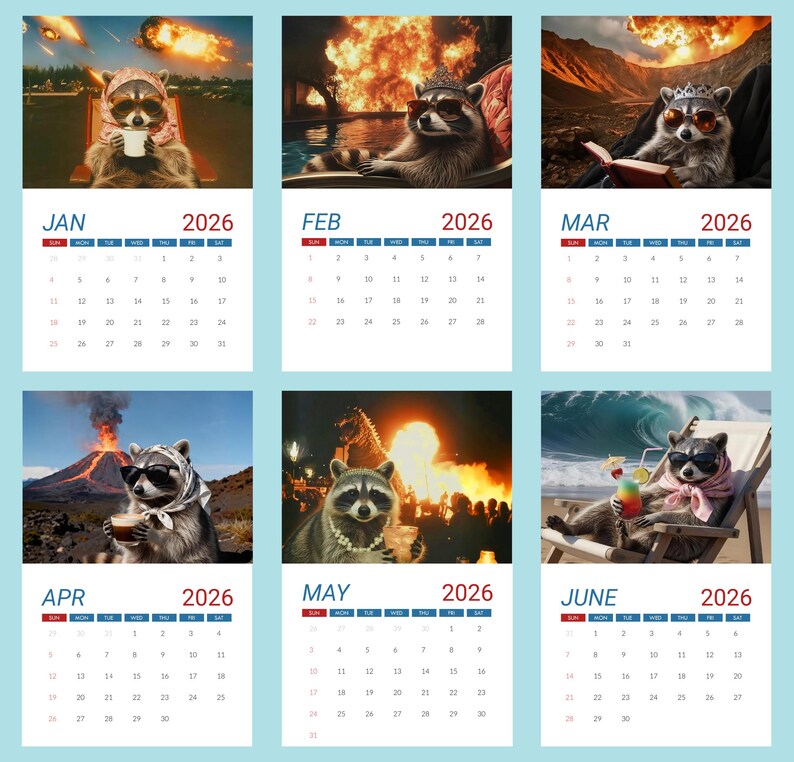 Everything is Fine Raccoon Calendar 2026, Raccoon Lovers Gift, Friends ...