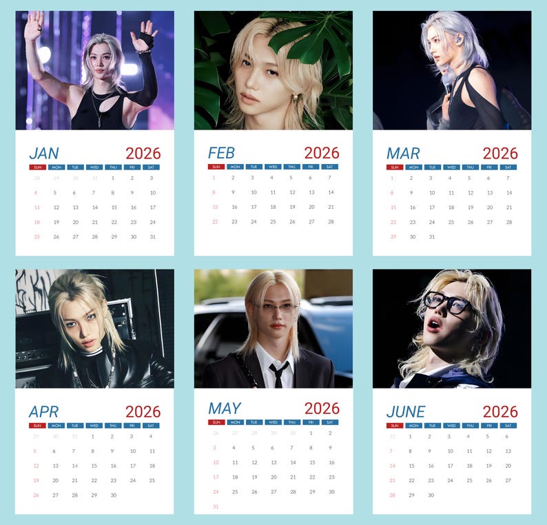 Lee Felix Stray Kids 2026 Wall Calendar, 12 Month Calendar Member ...