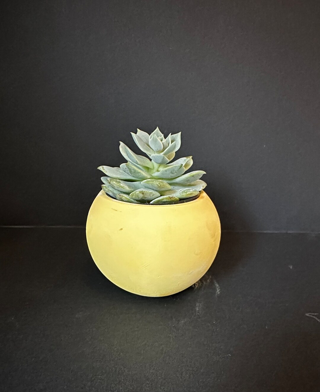 3 Modern Sphere Concrete Planter With Drainage Hole MARIGOLD - Etsy