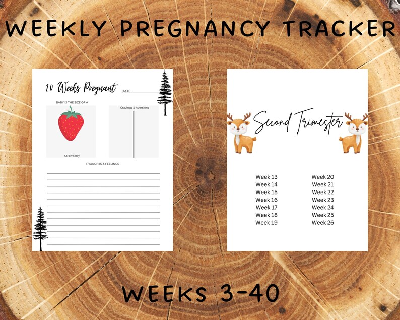 Pregnancy Planner Printable. Printable Pregnancy Journal. Pregnancy ...