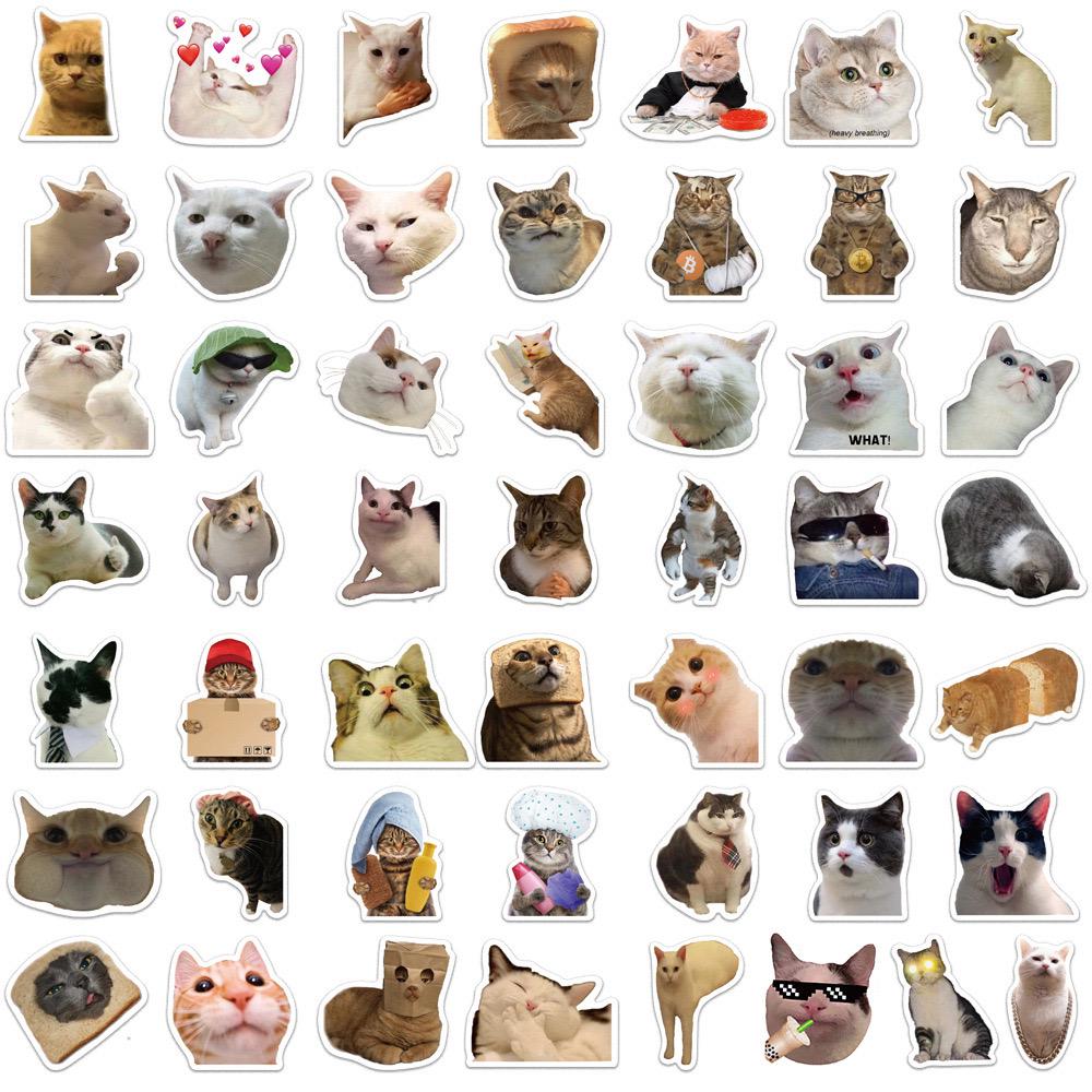 Viral Cat Meme Stickers | 50pcs Classic Expression Pack | Fun Decor ...
