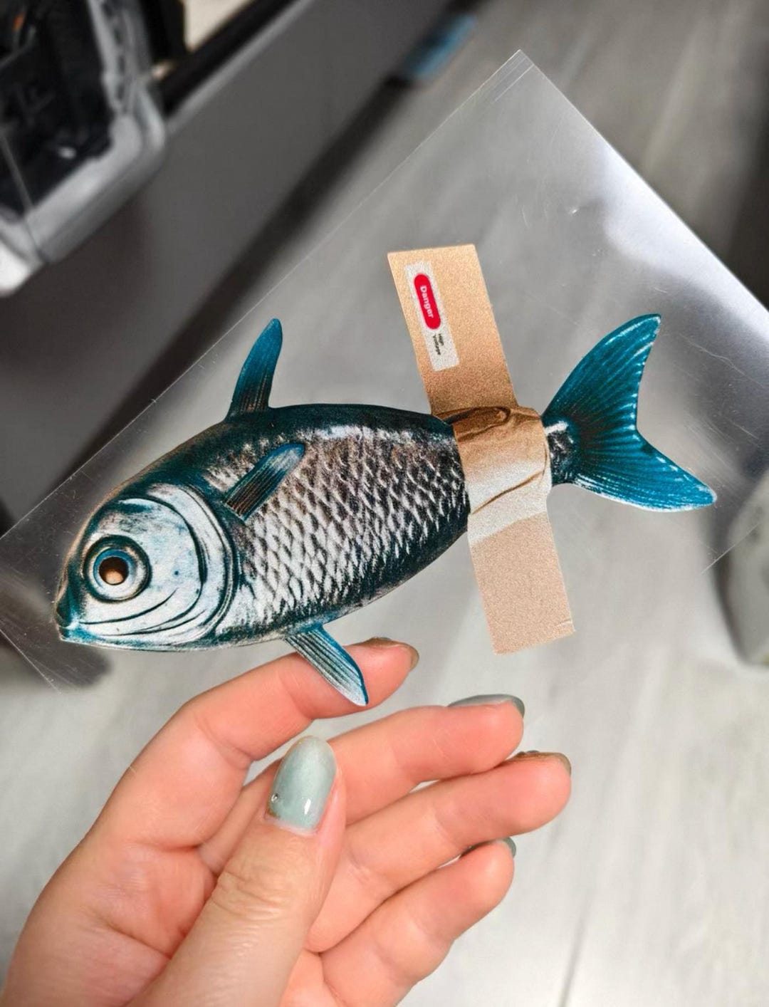 Sticker Grappige vis met plakband: waterdichte vinylsticker - Etsy ...