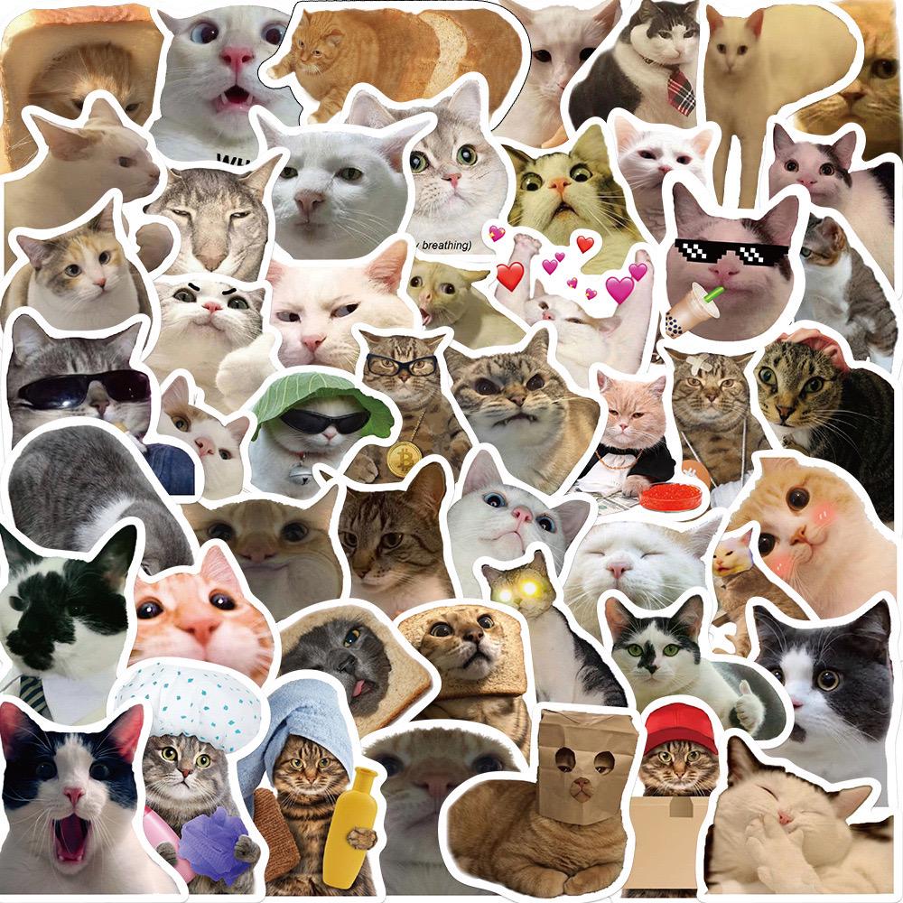 Viral Cat Meme Stickers | 50pcs Classic Expression Pack | Fun Decor ...