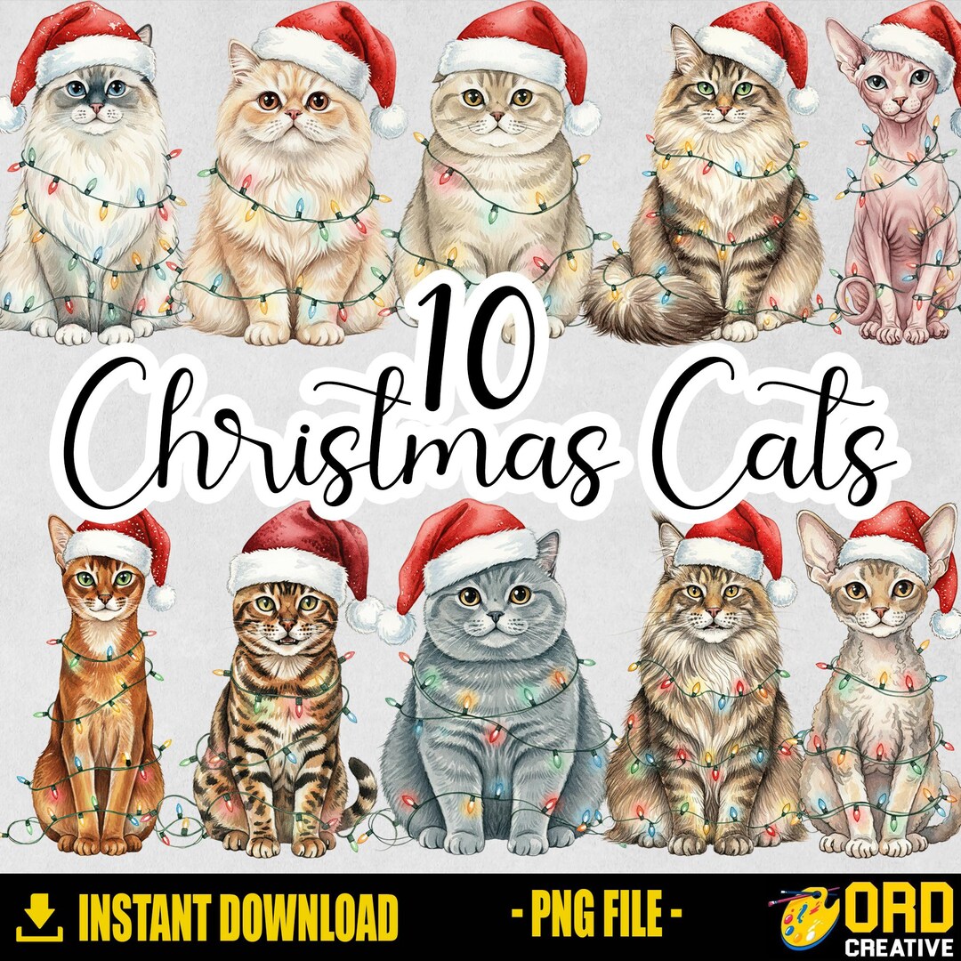 Cats Breeds Christmas Watercolor Clipart Set, Cute Kitty Holiday Art ...
