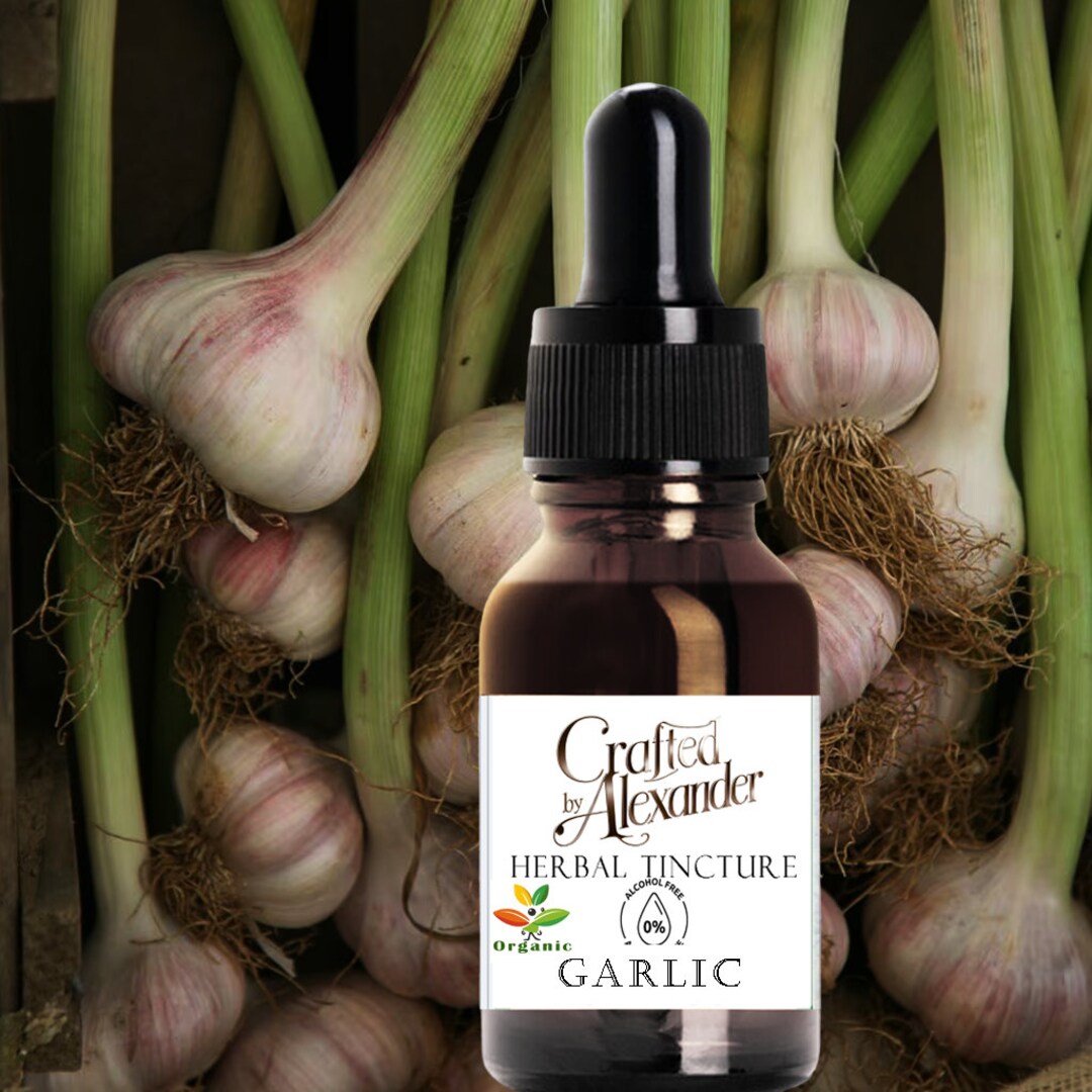 Organic Garlic Bulb Tincture ALCOHOL FREE Pure Vegan Herbal Concentrate ...